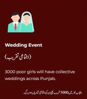 Punjab Dhee Rani Scheme Online Apply www.cmp.punjab.gov.pk